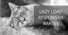 Lazy load responsive images | Ivo Petkov
