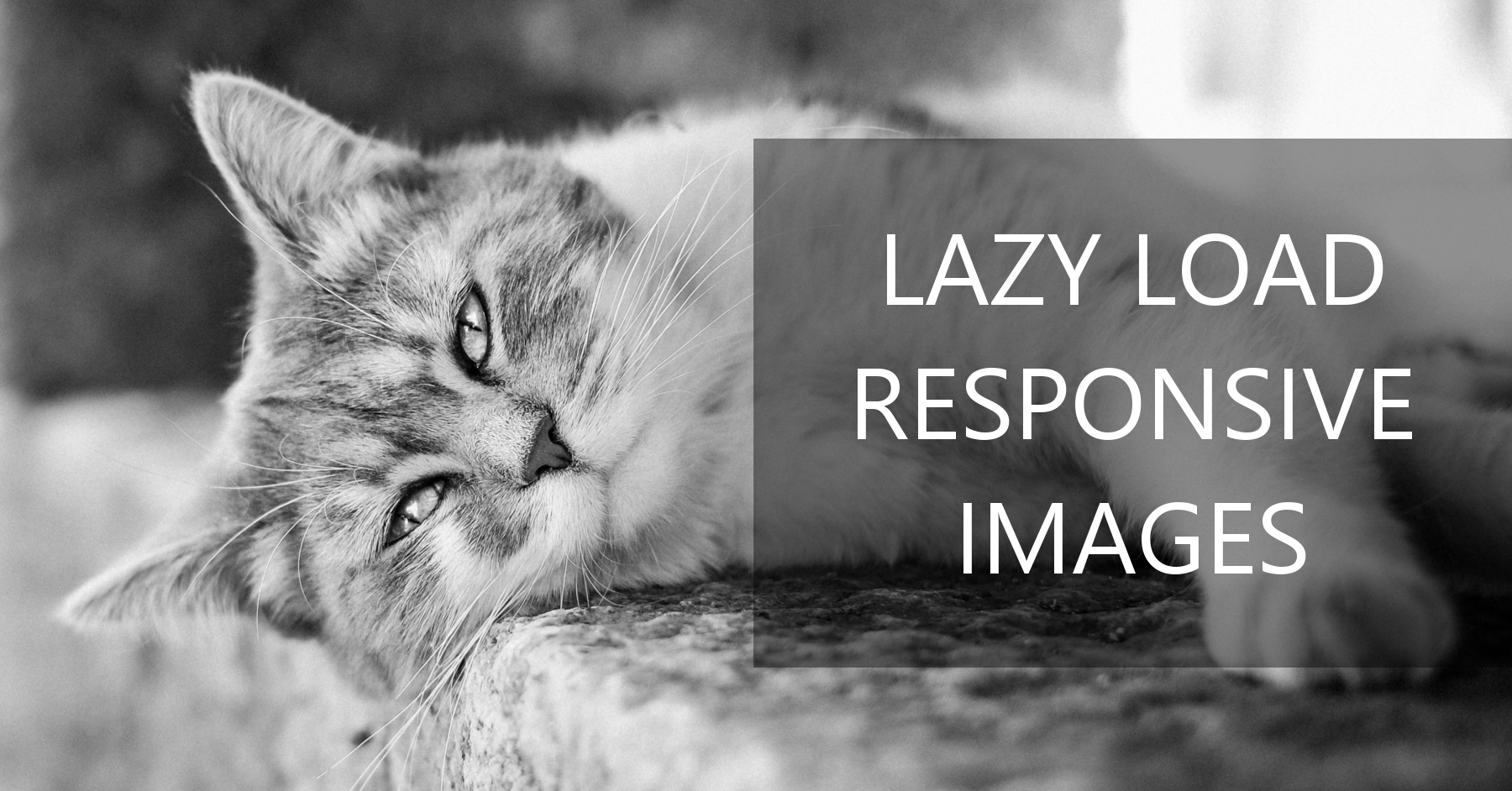 Lazy load responsive images Lazy load responsive images